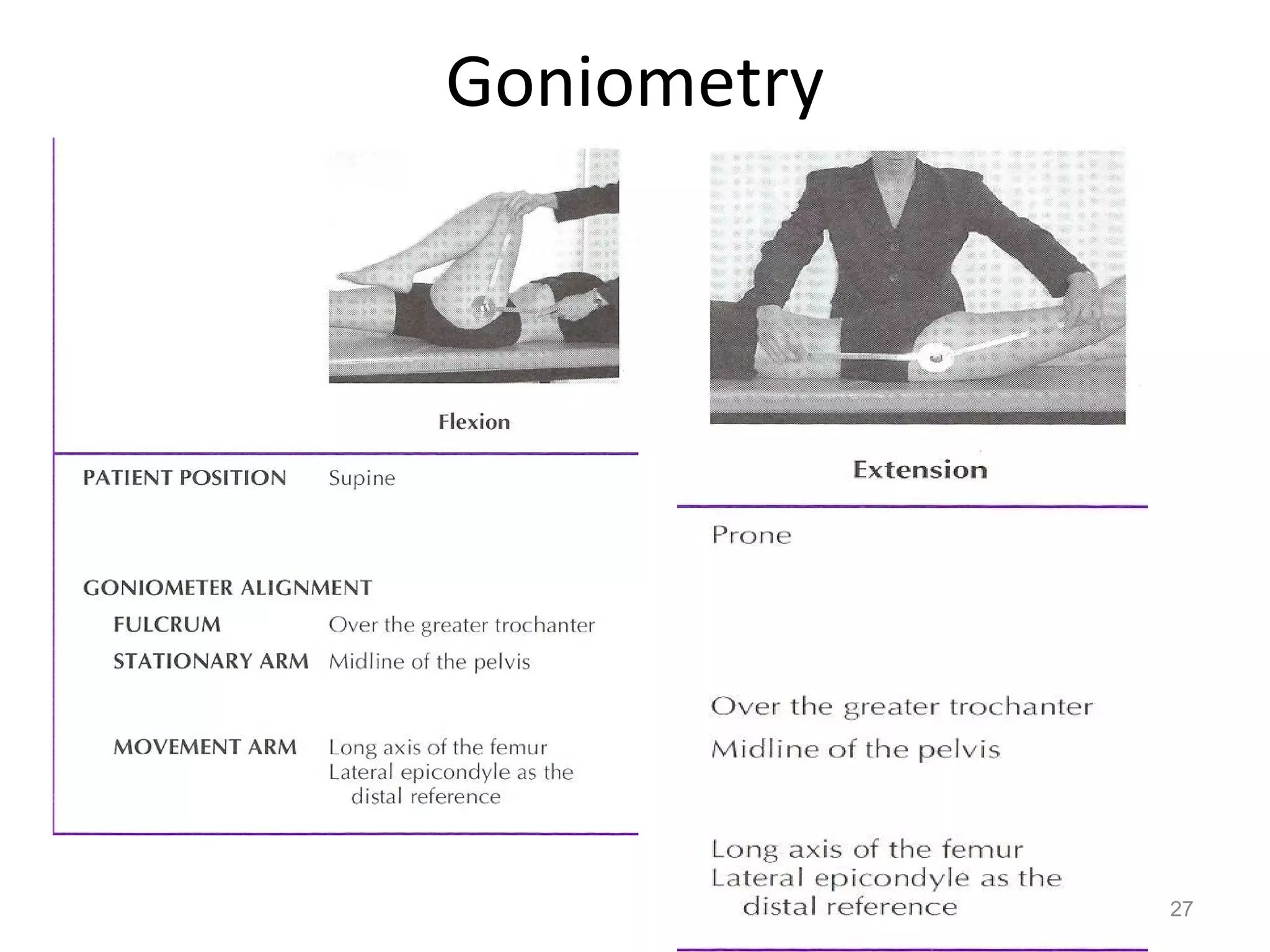 Kin191 A.Ch.8. Pelvis. Thigh. Evaluation | PPT