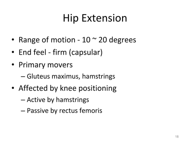 Kin191 A.Ch.8. Pelvis. Thigh. Evaluation | PPT