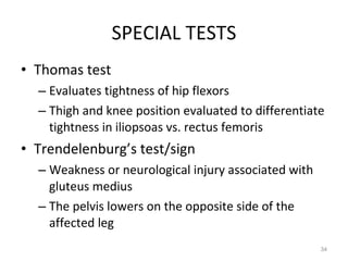 Kin191 A.Ch.8. Pelvis. Thigh. Evaluation | PPT