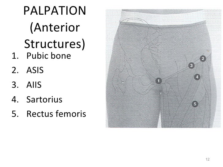 Kin191 A.Ch.8. Pelvis. Thigh. Evaluation