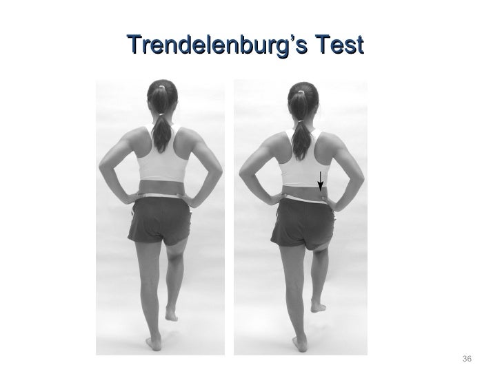 Kin191 A.Ch.8. Pelvis. Thigh. Evaluation