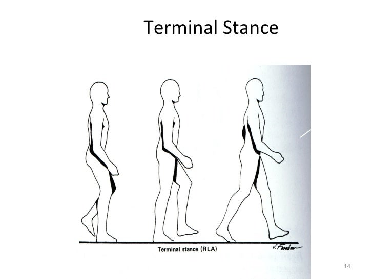 Kin191 A.Ch.9. Evaluation Of Gait