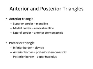 Kin 191 B – Cervical Spine Anatomy, Evaluation And Injuries | PPT