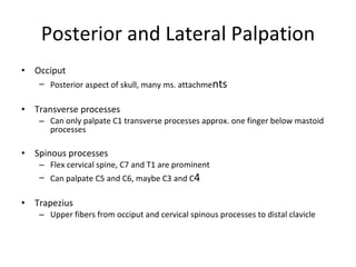 Kin 191 B – Cervical Spine Anatomy, Evaluation And Injuries | PPT