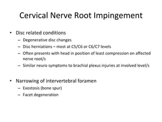 Kin 191 B – Cervical Spine Anatomy, Evaluation And Injuries | PPT
