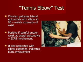 Kin 191 B – Elbow And Forearm Pathologies | PPT