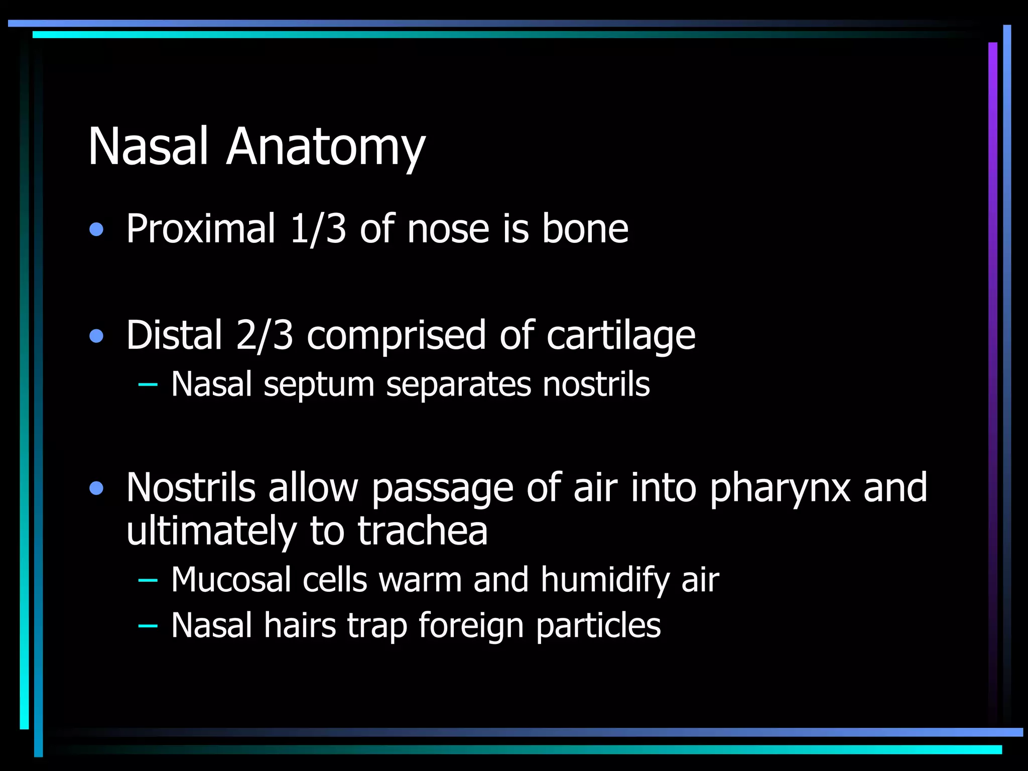 Kin 191 B – Face And Eye Anatomy, Evaluation And Injuries | PPT