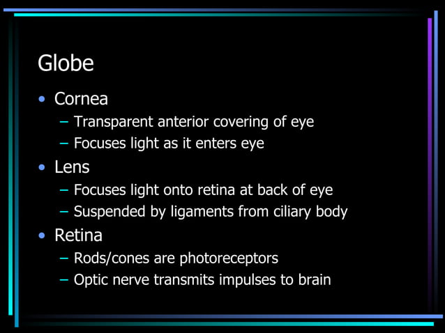 Kin 191 B – Face And Eye Anatomy, Evaluation And Injuries | PPT | Death ...