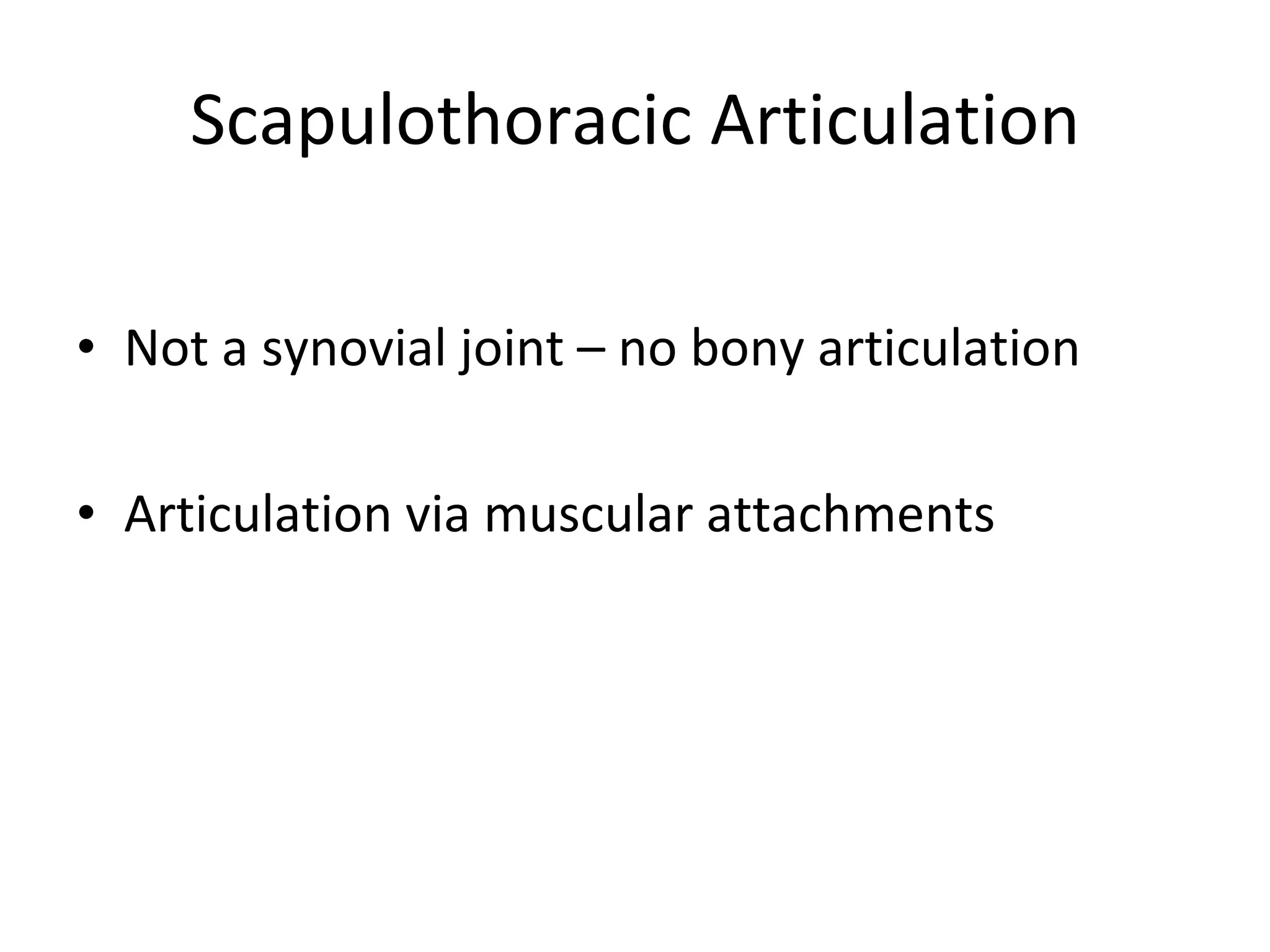 Kin 191 B – Shoulder Anatomy And Evaluation | PPT