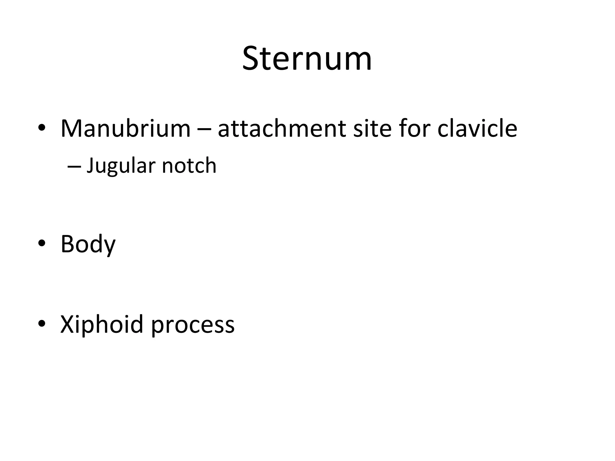Kin 191 B – Shoulder Anatomy And Evaluation | PPT
