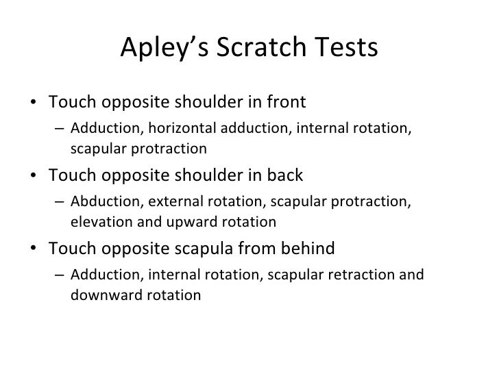 Kin 191 B – Shoulder Anatomy And Evaluation
