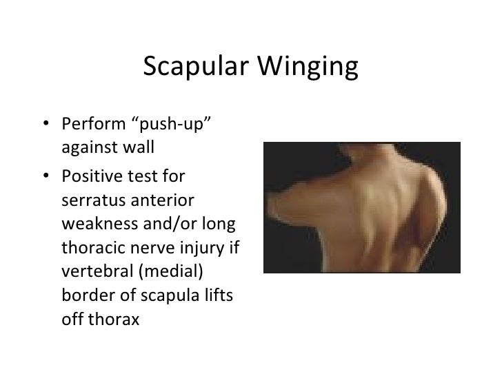 Kin 191 B – Shoulder Anatomy And Evaluation