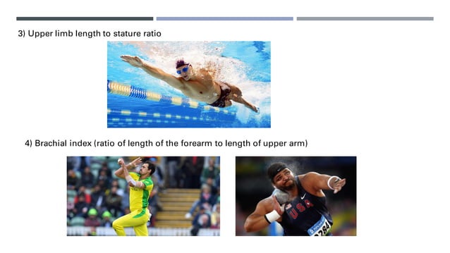 Kinanthropometry | PDF | Bodybuilding | Sports