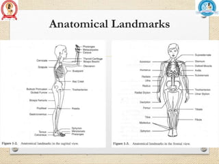 KINANTHROPOMETRY.pptx