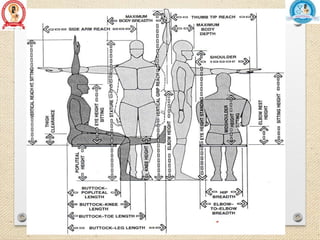 KINANTHROPOMETRY.pptx