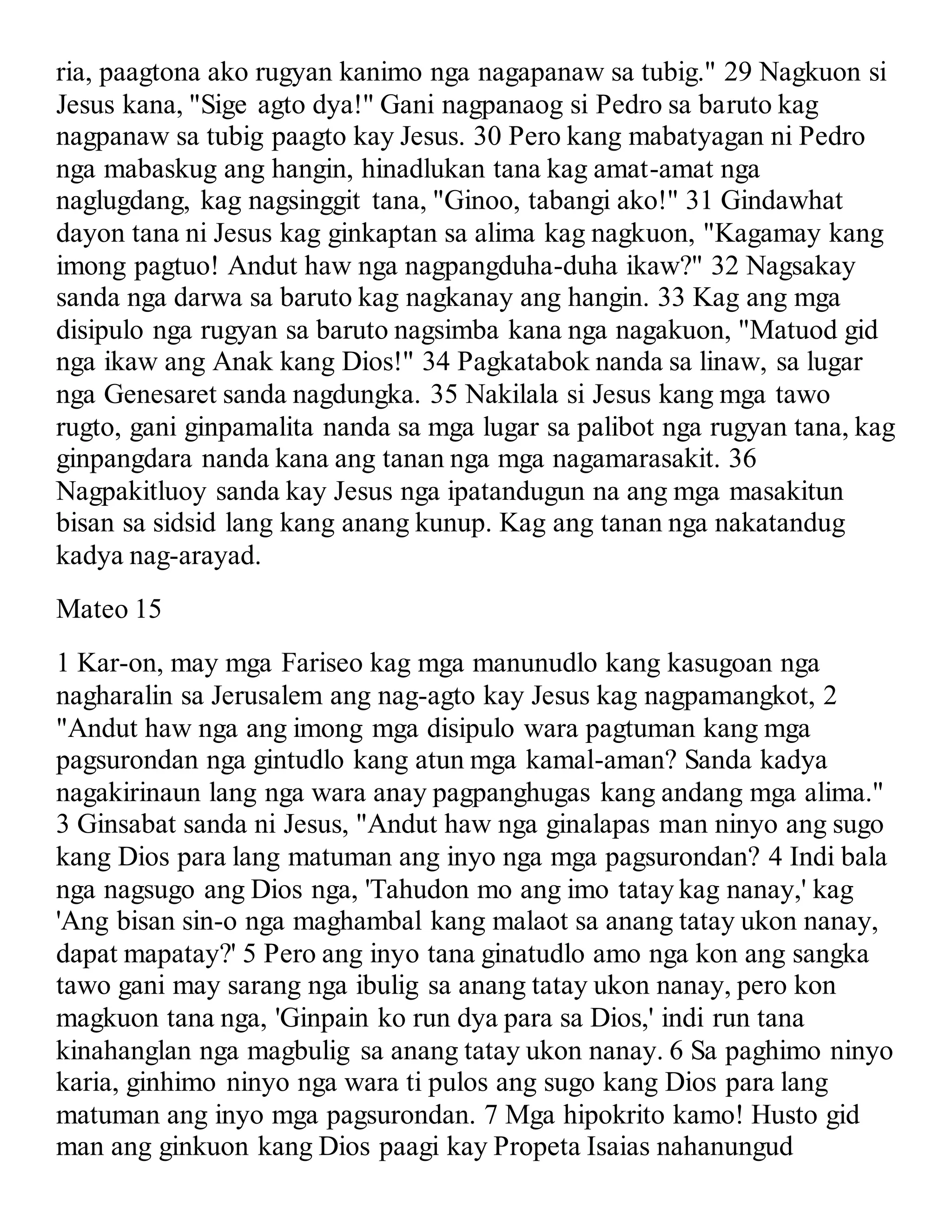 Kinaray a bible - new testament | PDF