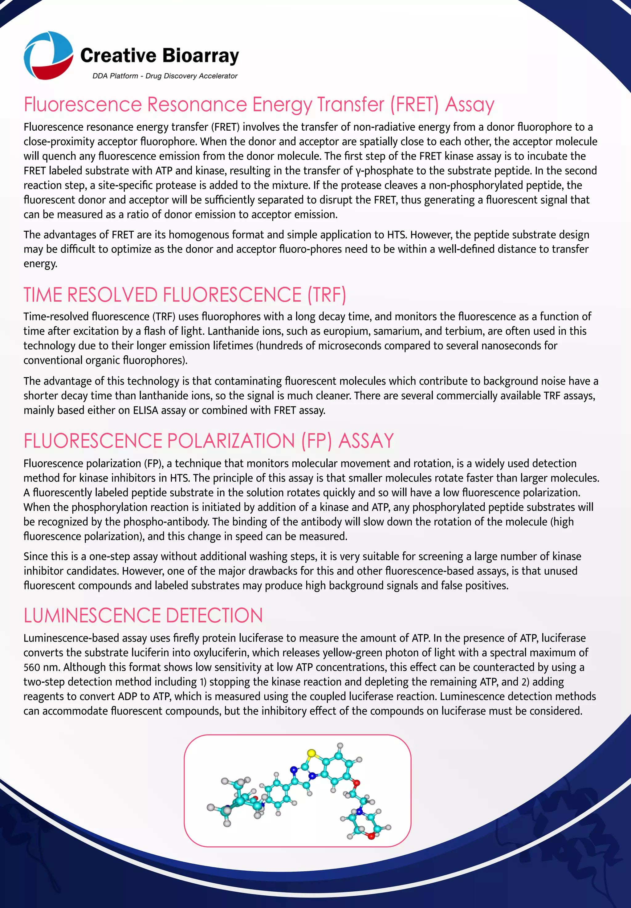Kinase Screening | PDF
