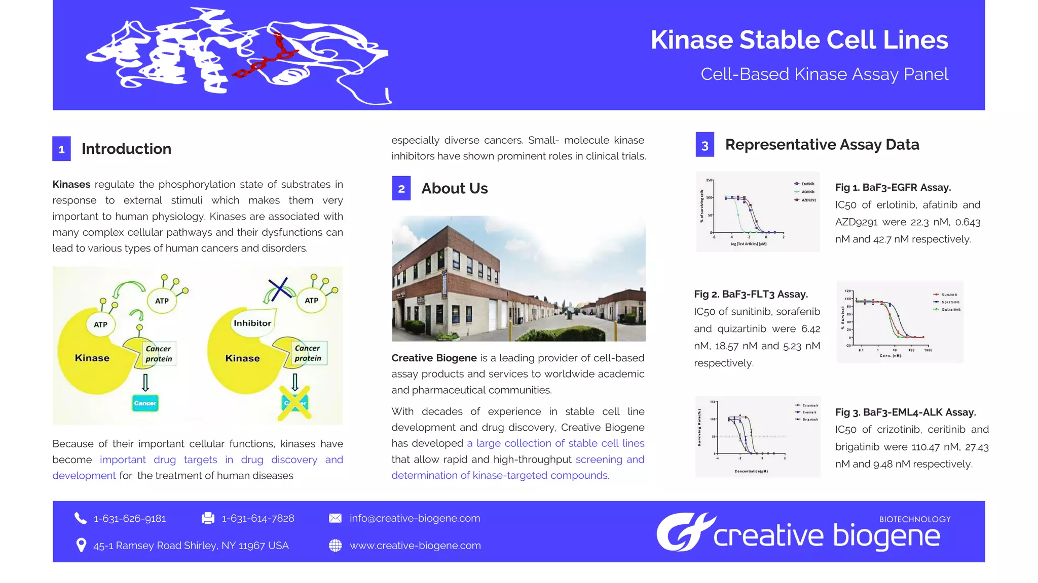 Kinase stable cell line | PDF