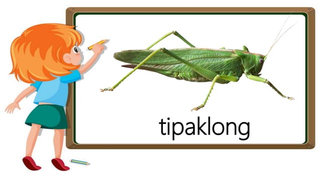 Katinig Tt | PPT