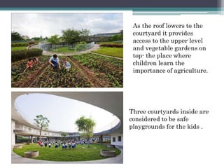 Offsite Case Study on Kindergarten | PPTX