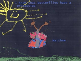 Kindergarten Butterflies | PPT