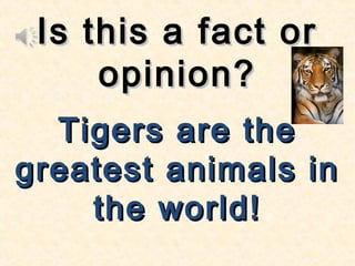 Kindergarten fact and opinion | PPT