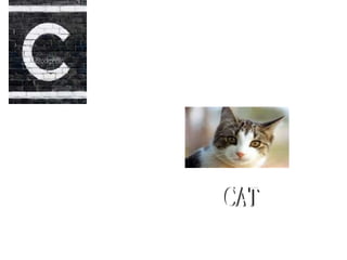 Kindergarten Lesson | PPT