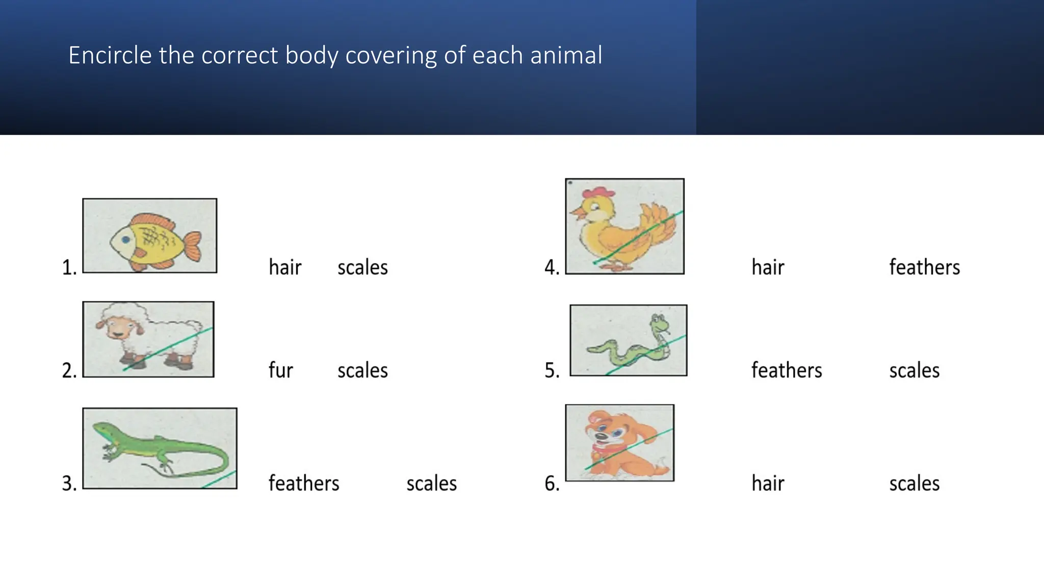 Science Reviewer for Kinder Quarter 2 Animals | PPT