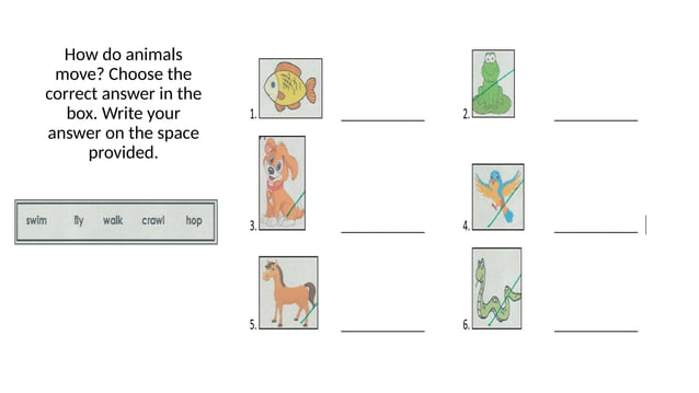 Science Reviewer for Kinder Quarter 2 Animals | PPT