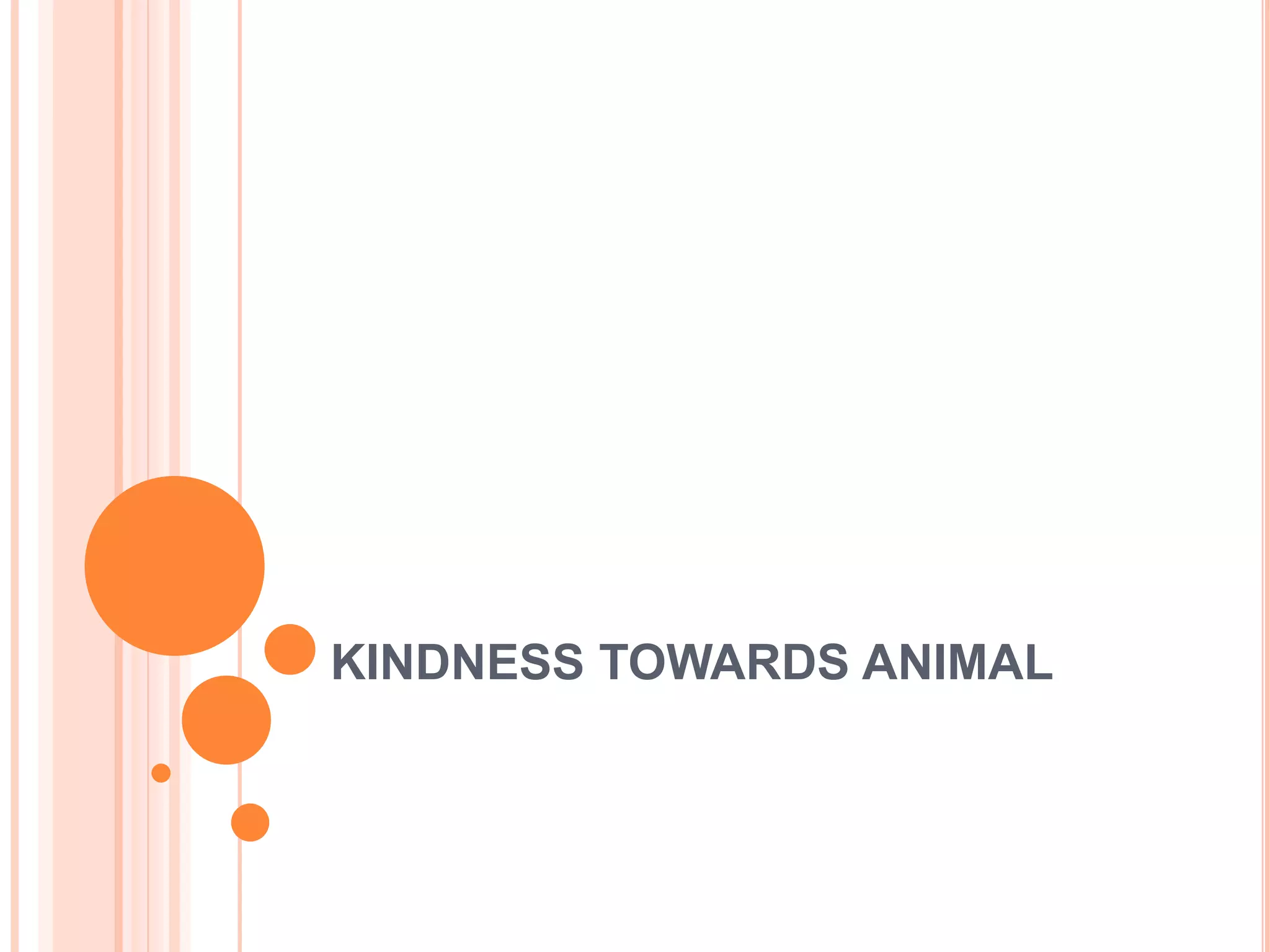 Kindness towards animal | PPSX