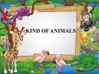 KIND OF ANIMALS grade 4 (time animal and pets).pptx | Reptiles | Pets