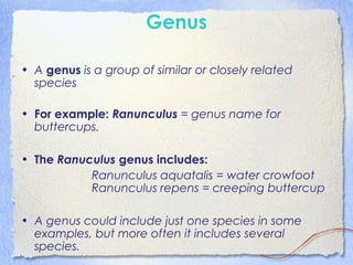 Kingdoms and classification | PPT