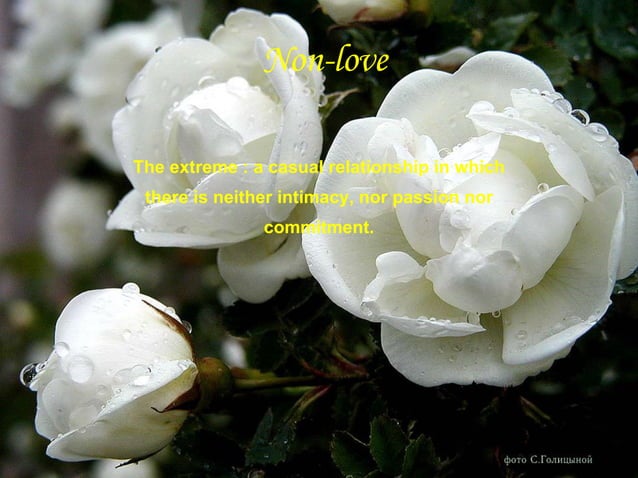 Kinds Of Love Relationships | PPT | Dating | Family and Relationships