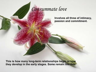 Kinds Of Love Relationships | PPT