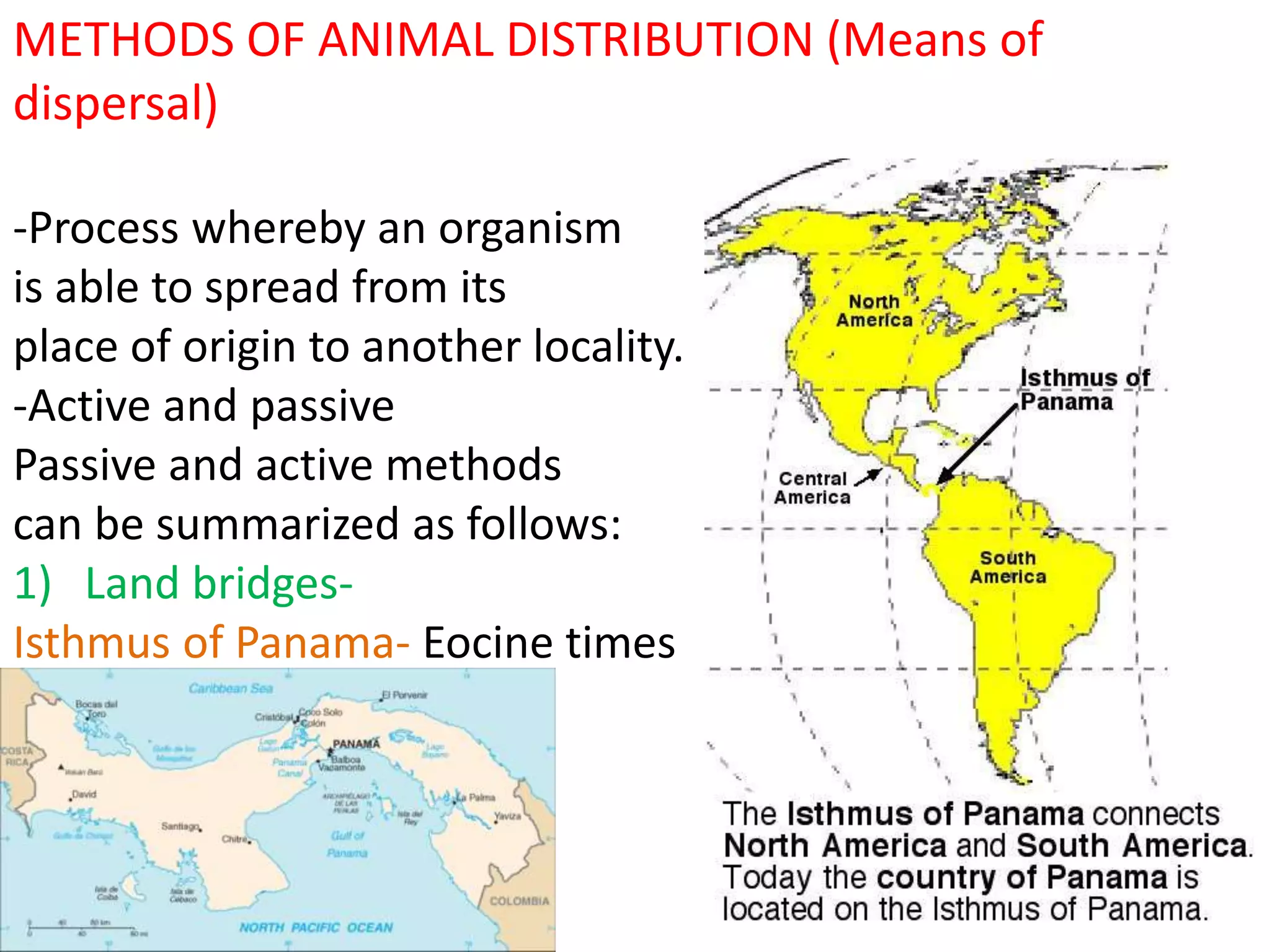 Kinds of animal distribution | PPT