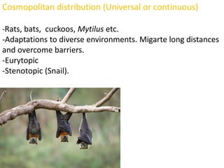 Kinds of animal distribution | PPT | Geography | Science