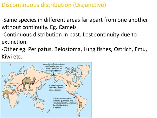 Kinds of animal distribution | PPT | Geography | Science