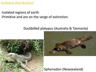 Kinds of animal distribution | PPT | Geography | Science