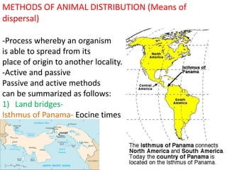Kinds of animal distribution | PPT | Geography | Science