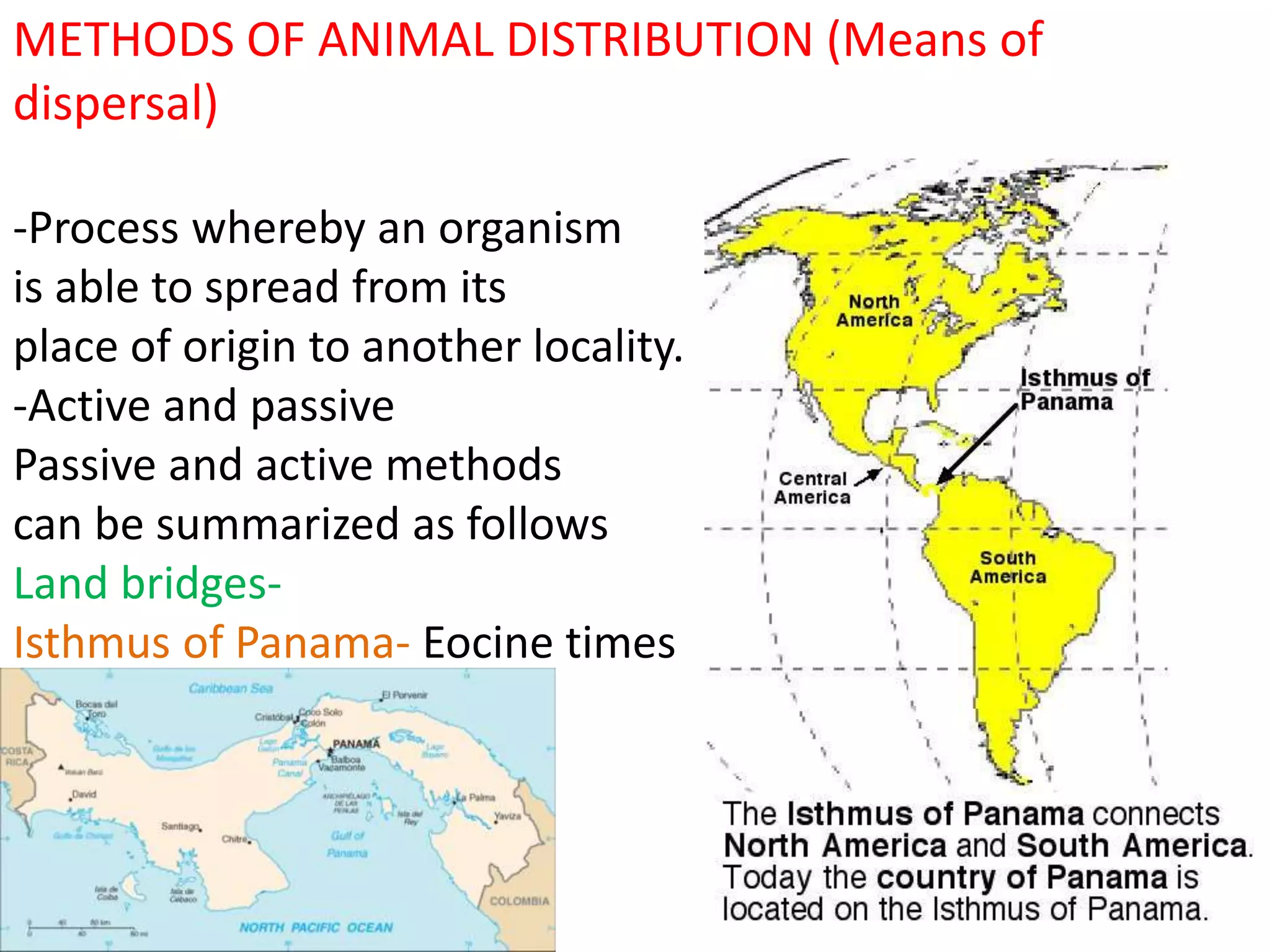 Kinds of animal distribution | PPT