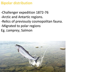 Kinds of animal distribution | PPT