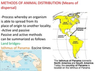 Kinds of animal distribution | PPT