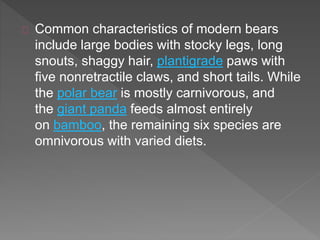 Nine Kinds of bear | PPTX