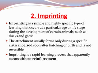 Kinds of Animal Behavior.pdf