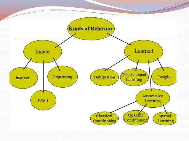 Kinds of Animal Behavior.pdf