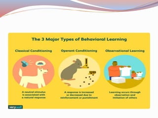 Conditioning Behaviour In Animals