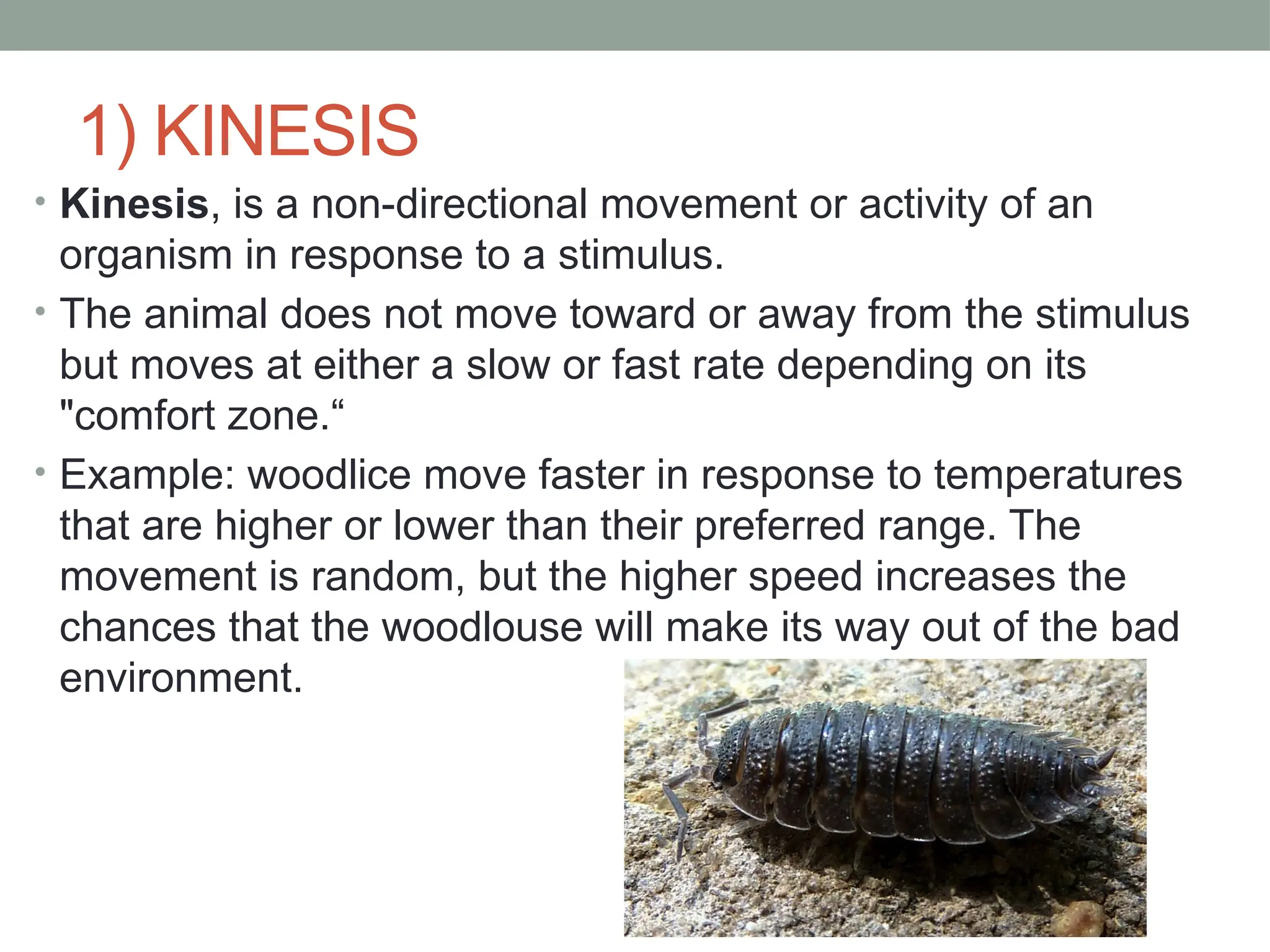 Kinds of Behavior (Innate Behavior).pptx