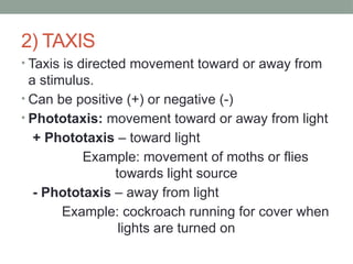 Kinds of Behavior (Innate Behavior).pptx