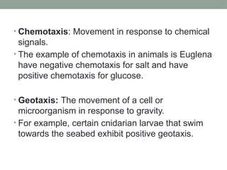 Kinds of Behavior (Innate Behavior).pptx