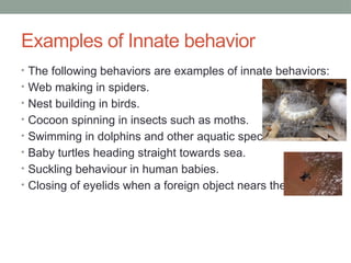 Kinds of Behavior (Innate Behavior).pptx